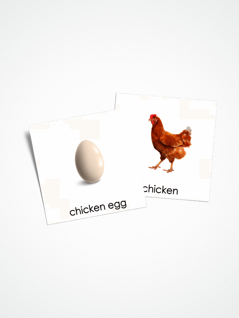 KARTY MONTESSORI EGGS AND THEIR OWNERS – Edukacja Montessori